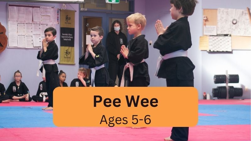Pee Wees - The Kung Fu School & Martial Arts NZ